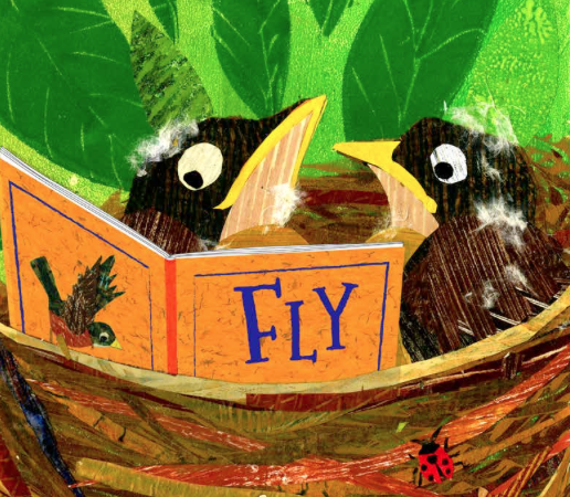 Print Awareness & Concepts | Book Play Everyday