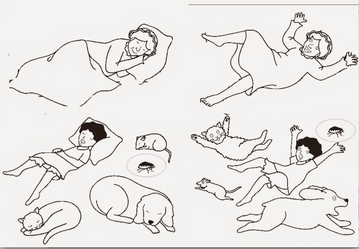 The Napping House, by Audrey Wood | Book Play Everyday