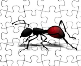 Two Bad Ants, by Chris Van Allsburg | Book Play Everyday
