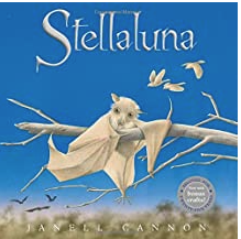 Stellaluna, by Janell Cannon | Book Play Everyday