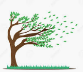 The Wind Blew, by Pat Hutchins | Book Play Everyday